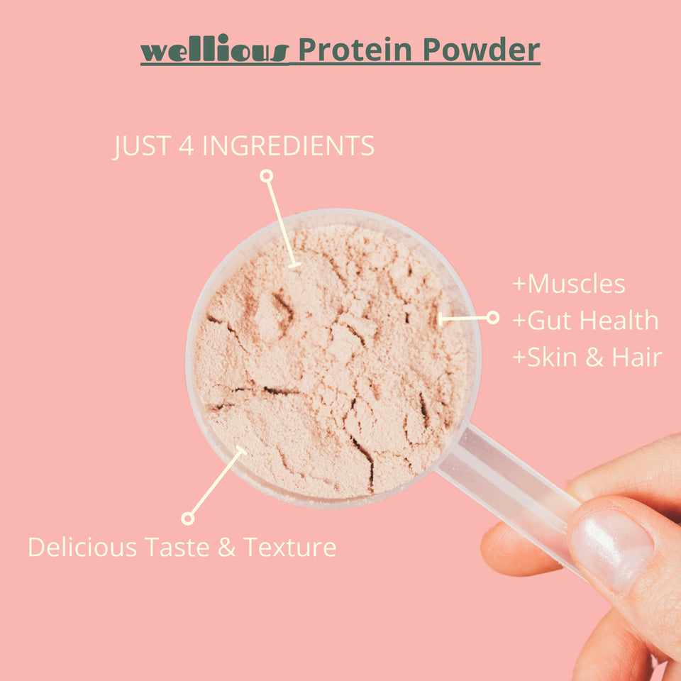Wellious Protein Powder - Real Chocolate – wellious